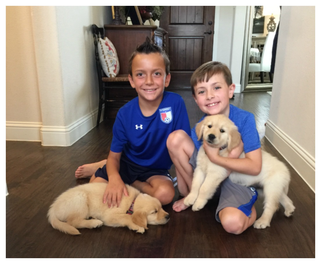 PUPPY SURPRISE! — Sheaffer Told Me To