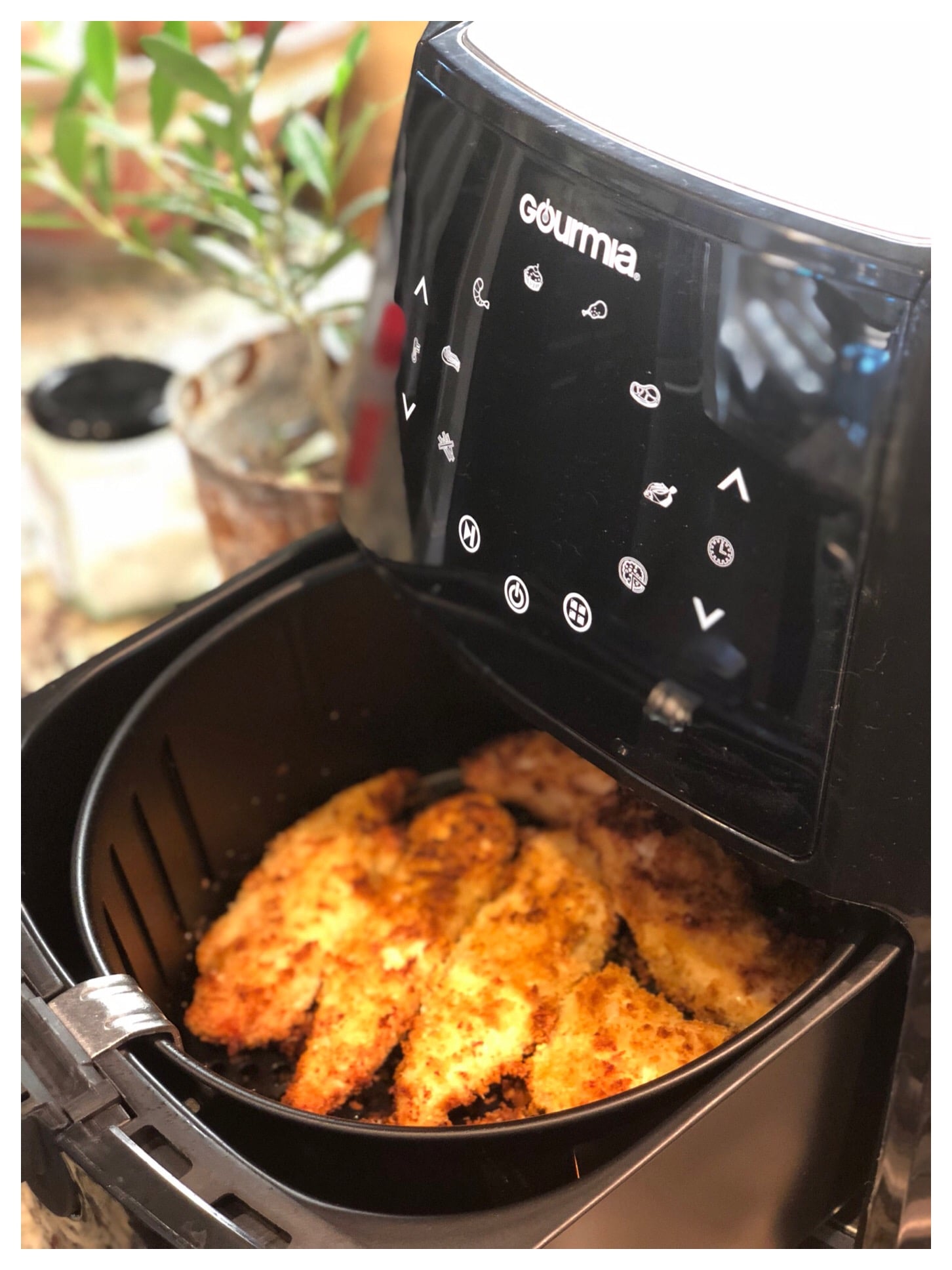 Eating Healthy With Our New AIR FRYER! — Sheaffer Told Me To